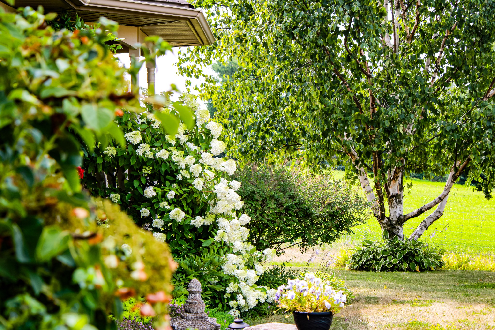 Kay Marie Photography